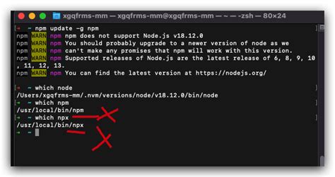Nodejs And Npm Version Not Match Bug All In One Anonymous007 博客园