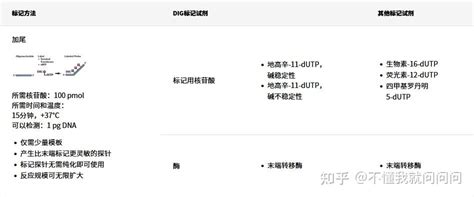 默克生命科学 地高辛 Dig 标记方法 知乎