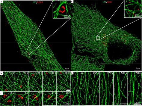 论文阅读：deep Learning Super Resolution Microscopydeep Learning Massively