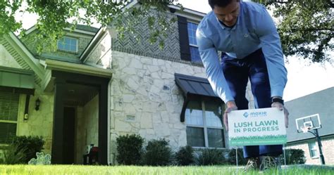 How To Identify And Remove A Wasp Nest Moxie Pest Control