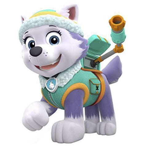 Los Personajes De La Patrulla Canina Paw Patrol ¡descubrelos Paw