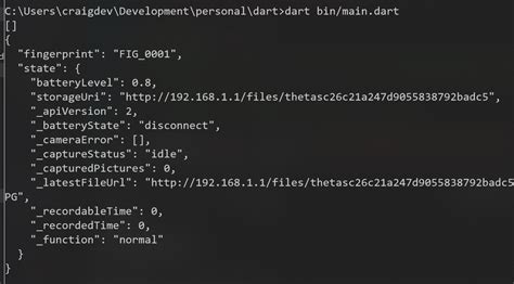 learning dart with ricoh theta api sample code and explanations api