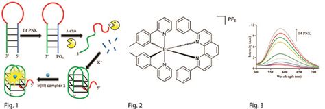 Dna Based Functional Materials 2014