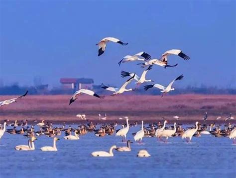 Шувуудын Төв Азийн зам санаачилга Монгол Улсын хэтийн төлөв” семинар болно