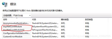 使用vs2019发布net Core Mvc项目并部署到iis过程错误解决 Csdn博客