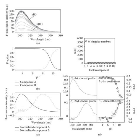 Fluorescence pH dependency of the MADS box segment Ac-IMKKAYEL-amid... | Download Scientific Diagram