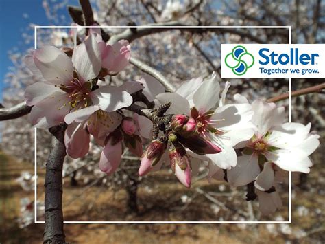 Andrewf Bowering Posted On Linkedin