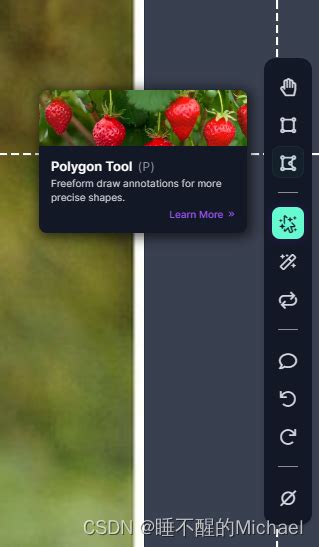 Yolov8实例分割，一步一步带你操作，手把手教学yolov8 实例分割 Csdn博客