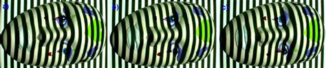 Fringe Patterns Projected Onto Objects Surface With Phase Shifted Of
