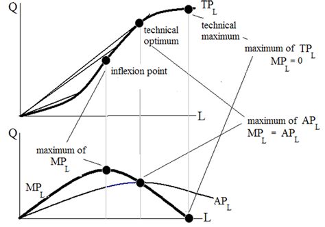 The Short Run Production Function Source Author S Own Construction Download Scientific Diagram