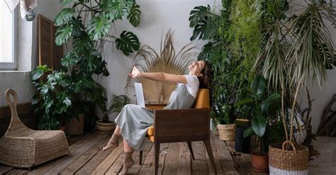 Хранители чистоты 5 растений которые спасут ваш дом от грязи — вы будете удивлены Marieclaire