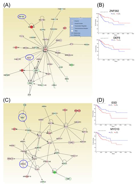 A Signaling Network Analysis Using Ipa Software For Differentially Download Scientific Diagram
