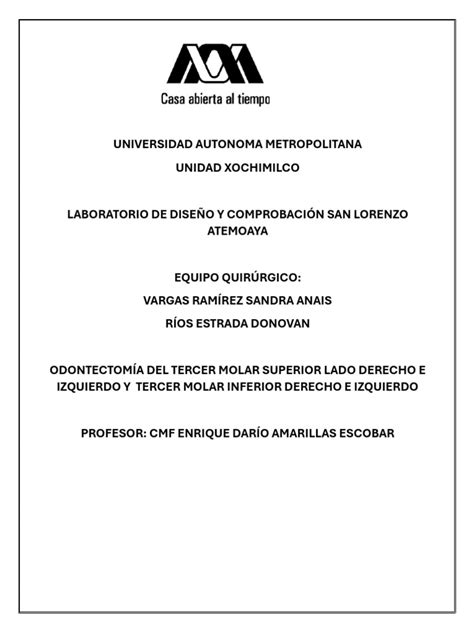 Correciones De Protoclo De 12 Pdf Anatomía Anatomía Humana