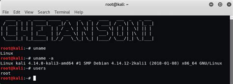 Top 20 Basic Kali Linux Commands Yeah Hub
