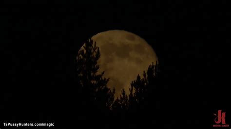 Shemale Taming And Fucking Busty Wolf Eporner