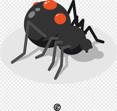 Паук черная вдова Png Pngwing