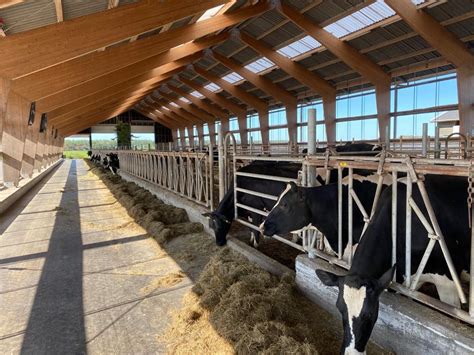 F4c Administratie En Advies Posted On Linkedin