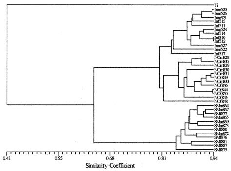Unweighted Pair Group Method With Arithmetic Average Dendogram Of T