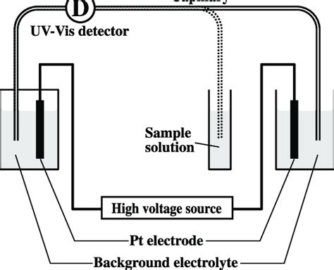 Basic Components Of A Cze System Download Scientific Diagram