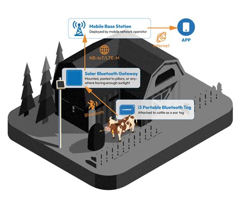 Lorawan Iot Cattle Tracking Solutions Livestock Monitoring And Management Lansitec