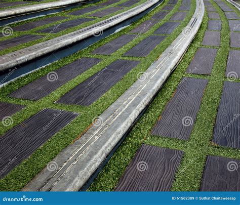Stair With Grass Stock Image Image Of Natural Lapse 61562389