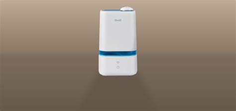 When Should I Use A Humidifier