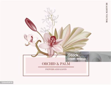 팜파 잔디 분홍색 오초 종이 컷 꽃 인사말 카드 종이 접기 꽃 휴가 배경입니다 3월 8일 해피 어머니의 날 인사말 사각형 프레임 휴일 텍스트입니다 사실적인 벡터