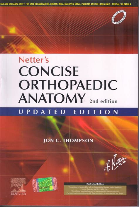 Buy Netters Concise Orthopaedic Anatomy Updated 2nd Ed