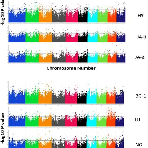 Genome Wide Association Analysis And Significant Marker Trait Download Scientific Diagram