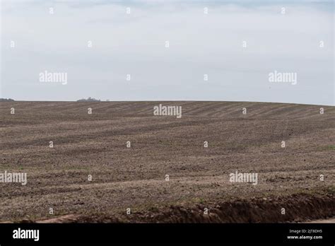 Soybean Sowing Fields Crop Rotation Grain Production Area Farmer No