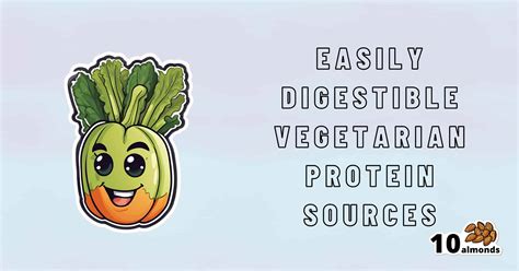 Easily Digestible Vegetarian Protein Sources 10almonds