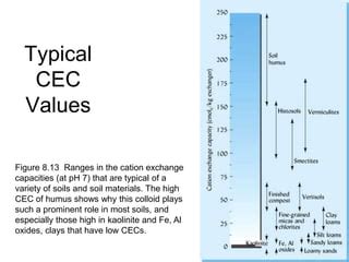 Cec PPT