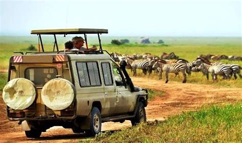 Getting To Amboseli National Park Kenya Safari Tours