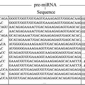 Example Of Training Dataset File Download Scientific Diagram