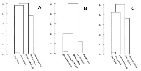 Dendrograms Revealing The Genetic Distance Among The Taxa Examined Download Scientific Diagram