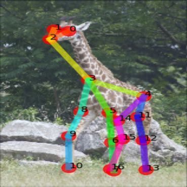 Pose Anything A Graph Based Approach For Category Agnostic Pose Estimation