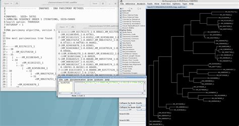 Phylip Format Sequence Nameheader Issue