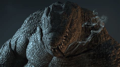 Michael HÖft Discover The Rookies