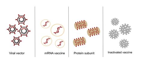 The Classification Of Covid19 Vaccines In Current Uses Viral Vector