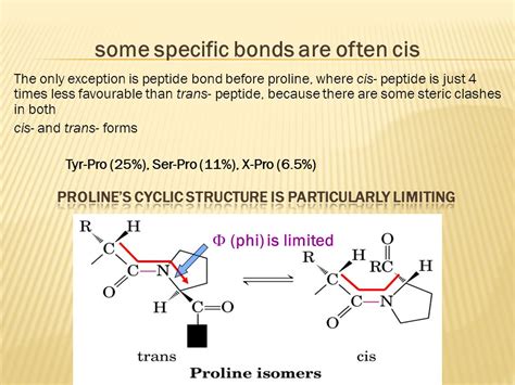 Protein FOLDING. - ppt video online download