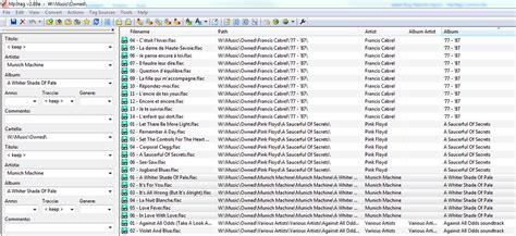 Tag Panel Malfunctioning Fixed Bugs Mp3tag Community