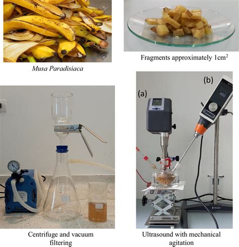 Ultrasound Assisted Extraction A Ultrasound Up400st Hielscher