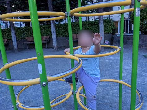 そういえばジャングルジムって公園であまり見かけなくなった アワレみ隊ontheweb