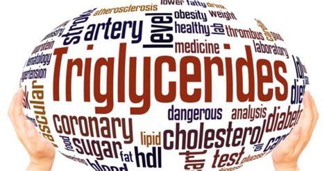 Understanding Triglycerides What High Triglyceride Levels Mean