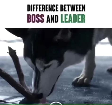 Video Anmol Goel Posted On Linkedin