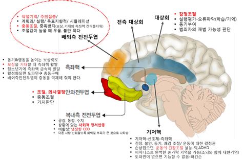 작업기억이 핵심이다 성취와 행복 네이버 블로그