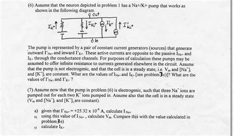 Solved QUESTION PLEASEa Assume That The Neuron Depicted Chegg