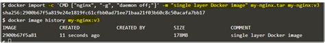 Docker Export How Does Export Work In Docker Examples