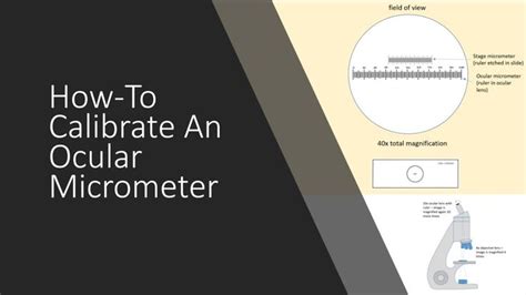Calibration Of Microscopic Ocular Micrometer Ocular Micrometer Microscopic