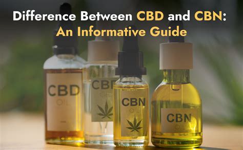 Difference Between CBD And CBN An Informative Guide